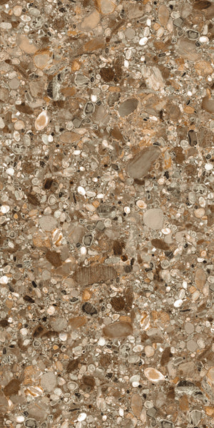 TPX2548 – Tripix Images